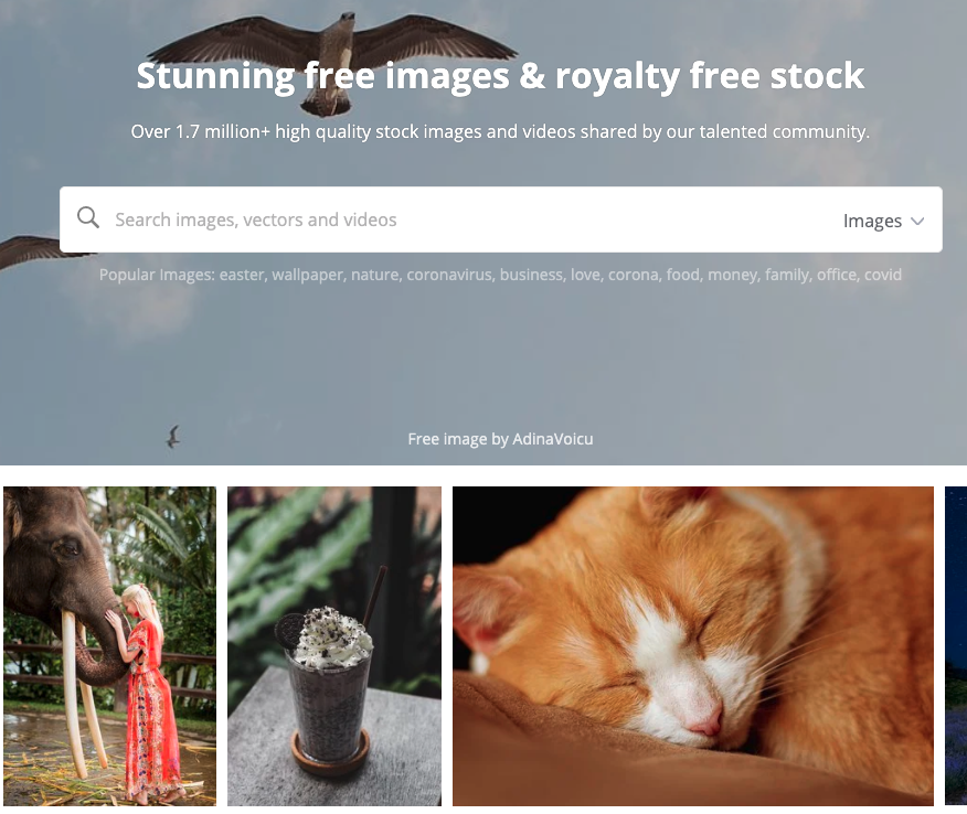 Pixabay - Royalty-free photos and images - Innoverse